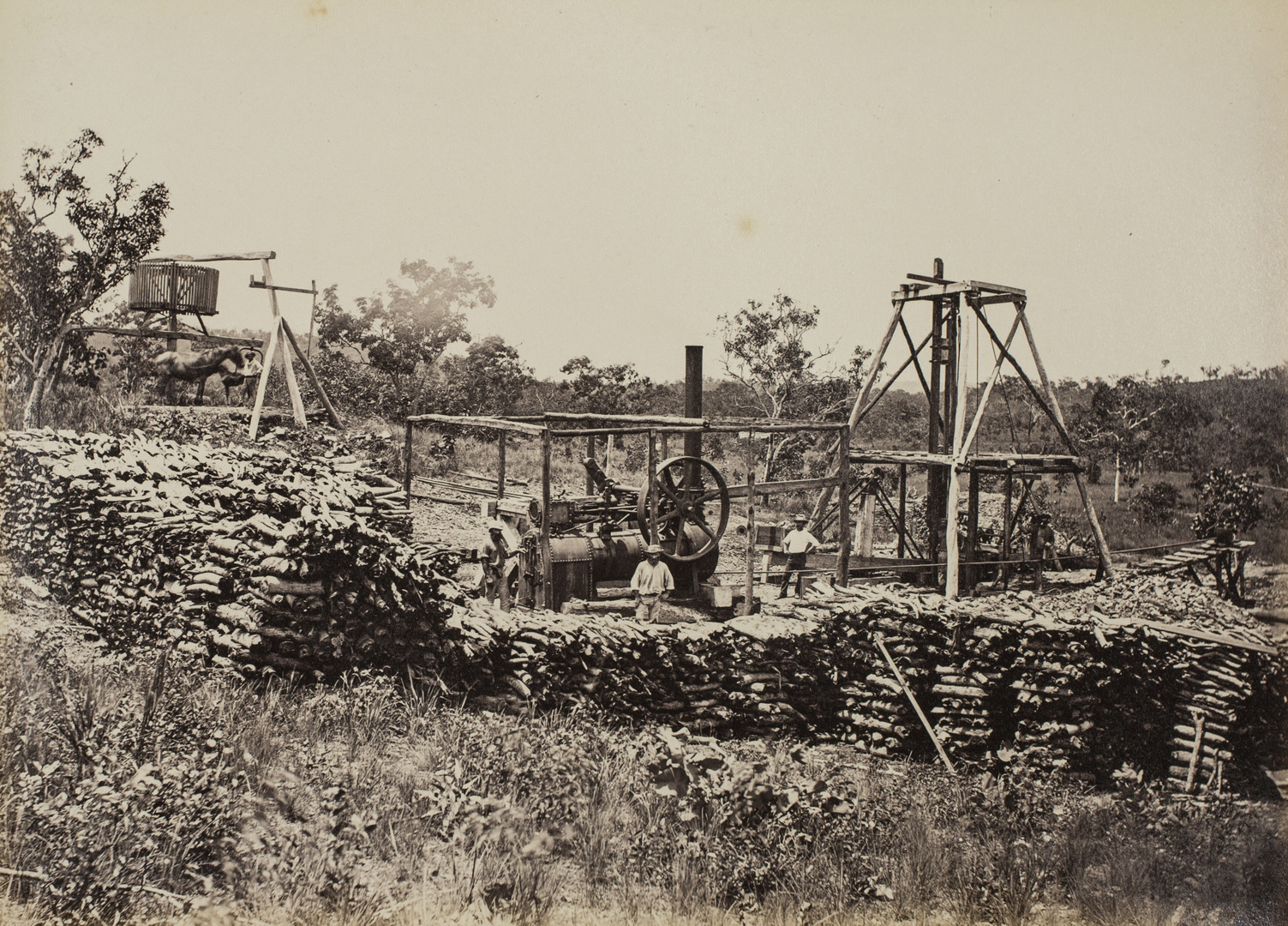 Territory Stories - Virginia Gold-mine, Stapleton Creek