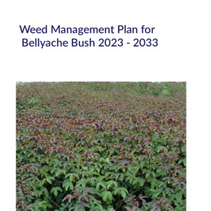 Territory Stories - Weed management plan for Bellyache Bush 2023-2033