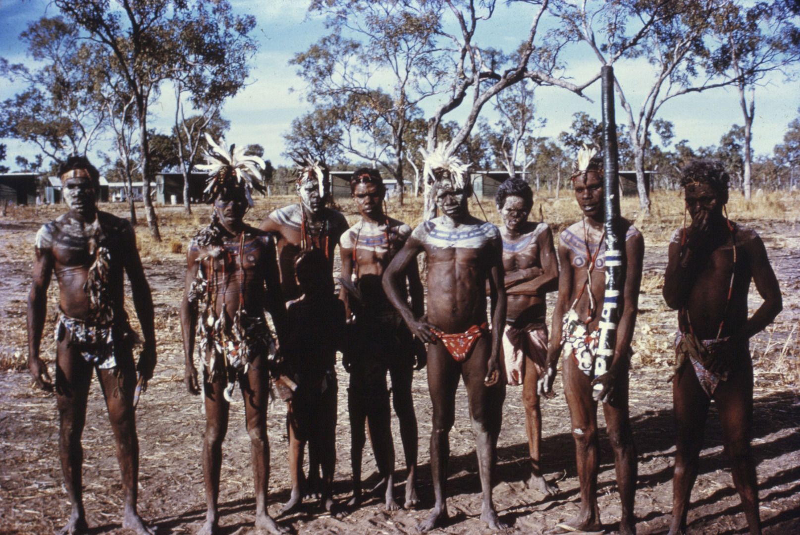 Territory Stories - Corroboree
