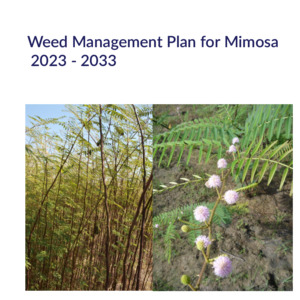 Territory Stories - Weed management plan for Mimosa 2023 - 2033