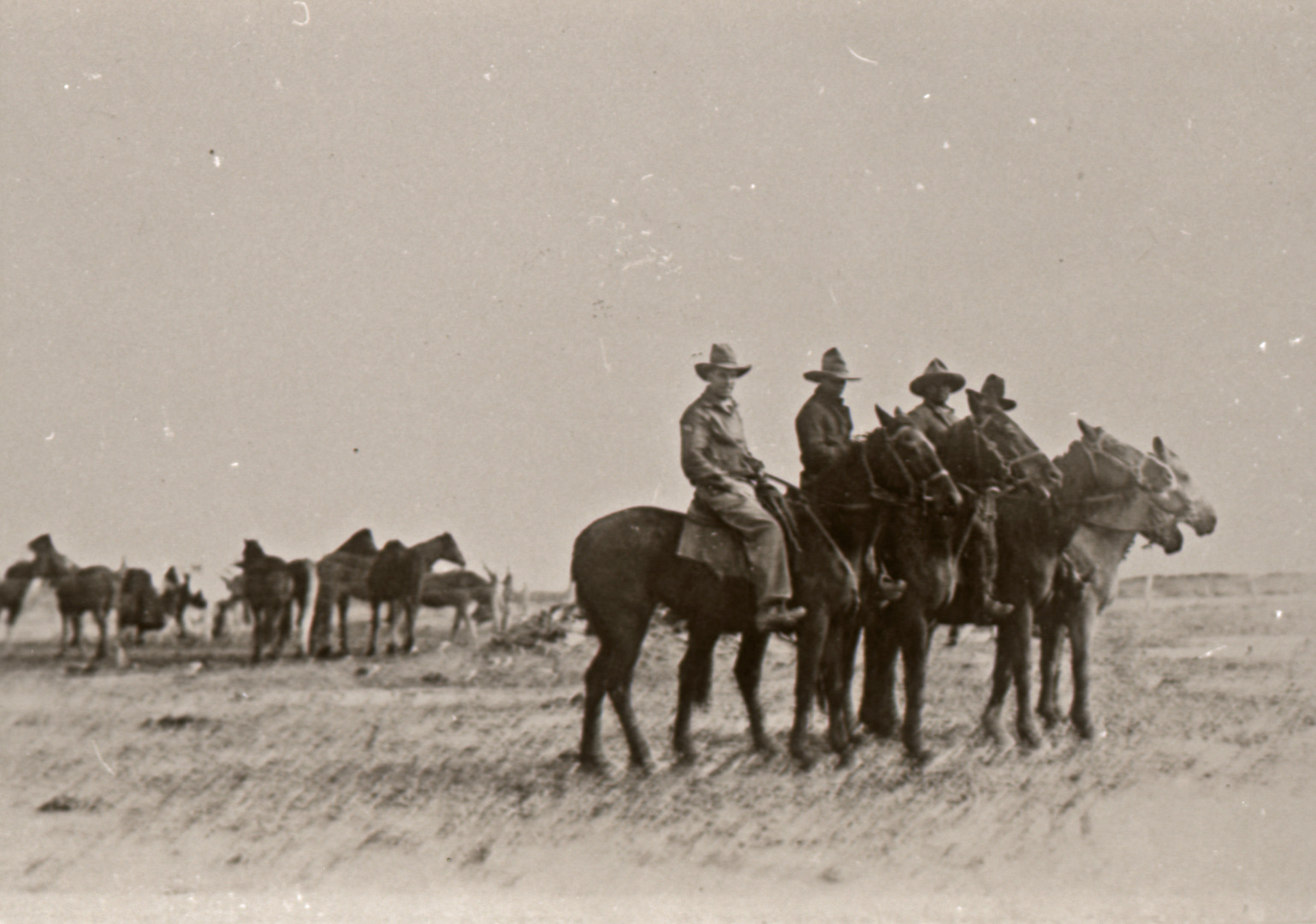 Territory Stories - Cattle drovers